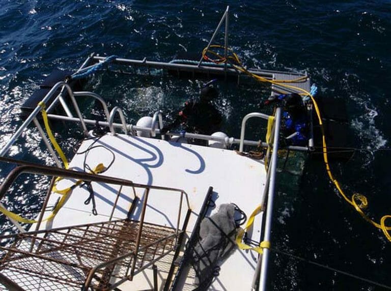 Work Float Project Gallery | Work Float Options | AccuDock